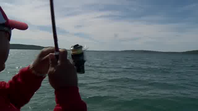 Hook N' Look - World Fishing Network